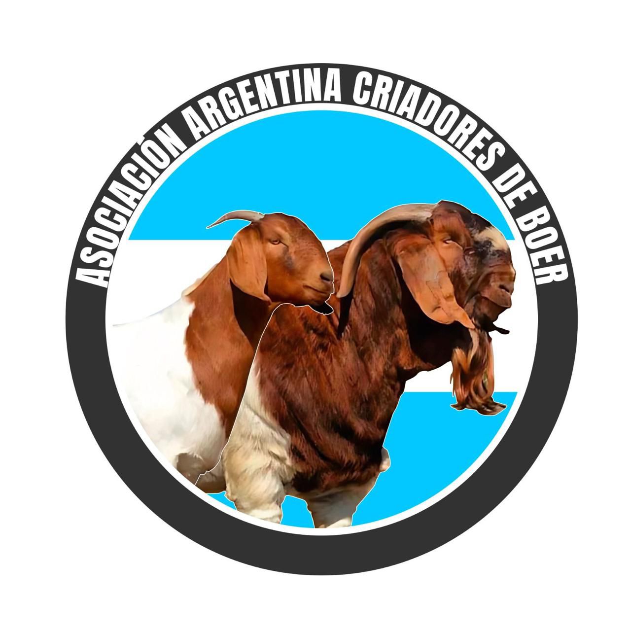 Agroactiva donde el campo levanta su bandera Expo otoño Boer: la ...